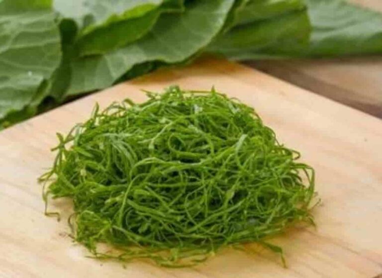 Chiffonade(Shredding) Cut, Meaning, Uses - Food And Beverage Knowledge